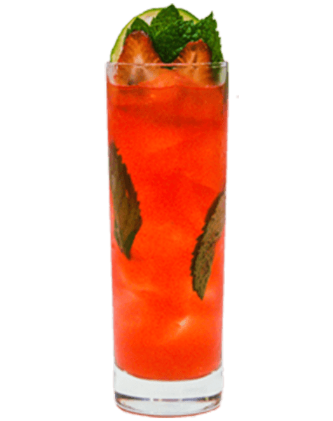 Strawberry Mojito Bucket On the Rocks | Big Bucket Margarita Mixer